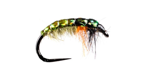 Grayling Fishing: Ultimate A to Z of Tactics, Tackle & Insider Tips
