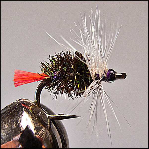 Grayling Fishing: Ultimate A to Z of Tactics, Tackle & Insider Tips