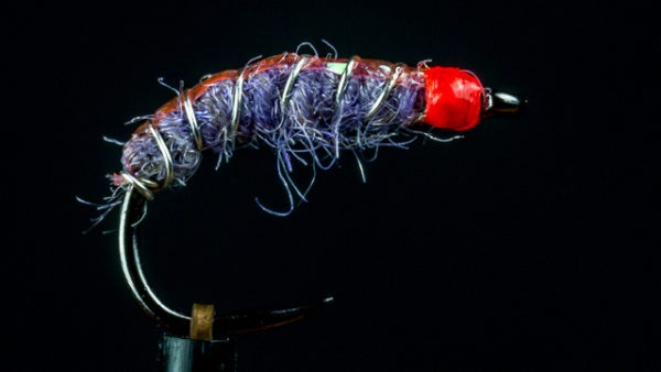 Grayling Fishing: Ultimate A to Z of Tactics, Tackle & Insider Tips