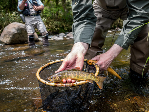 Tenkara Fishing: Your Complete Guide to Everything
